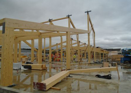 market-hill-primary-school-3 | CLT, Glulam & Hybrid Structural ...
