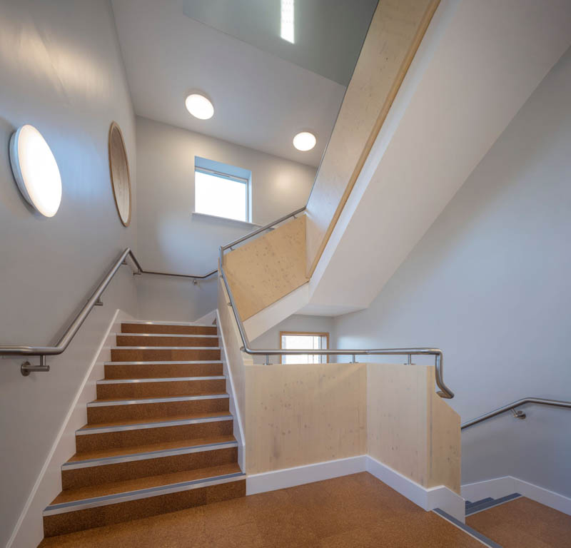 Livewell Centre, Kingsley Hall | CLT, Glulam & Hybrid Structural ...